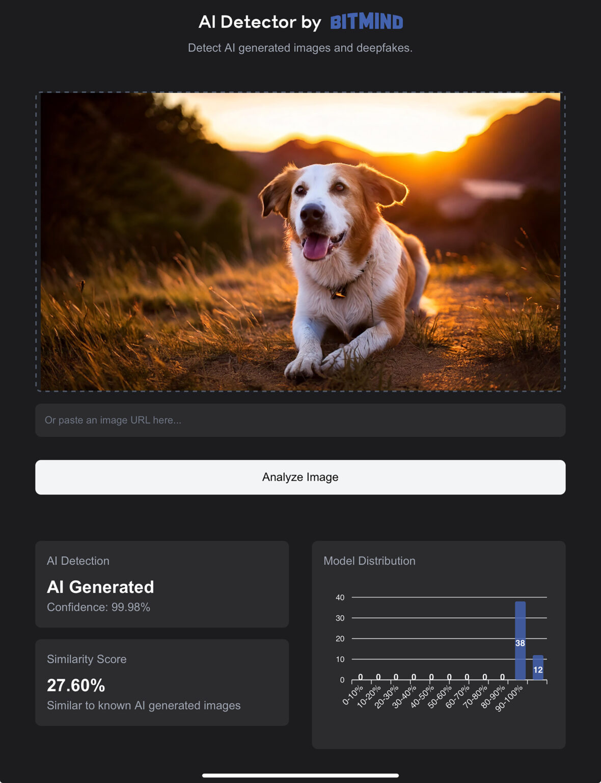 Fake Photo? Manipulated Video? How to Spot Sham AI Images